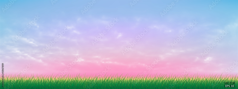 Fresh spring green grass under beautiful blue to pink sky. Nature ...