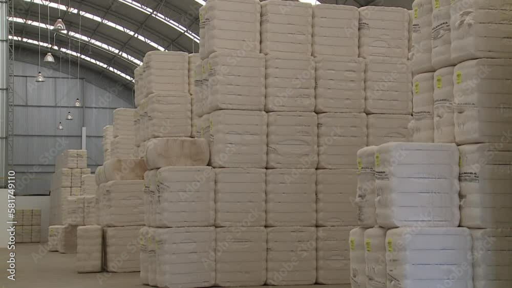 Lot of packages of cotton stacked inside an industrial building ready ...