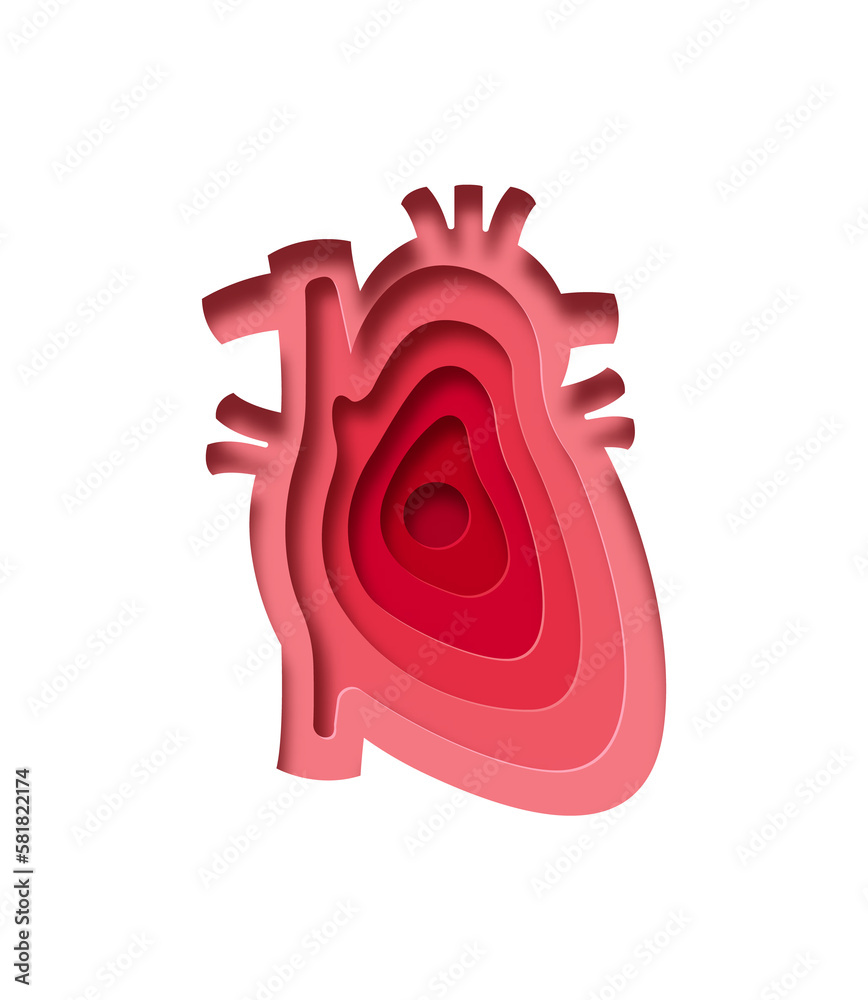 Realistic 3D paper cut human heart illustration. Layered colorful ...