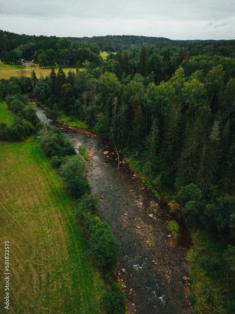 Vertical aerial view of the Amata river and green nature in Latvia ...