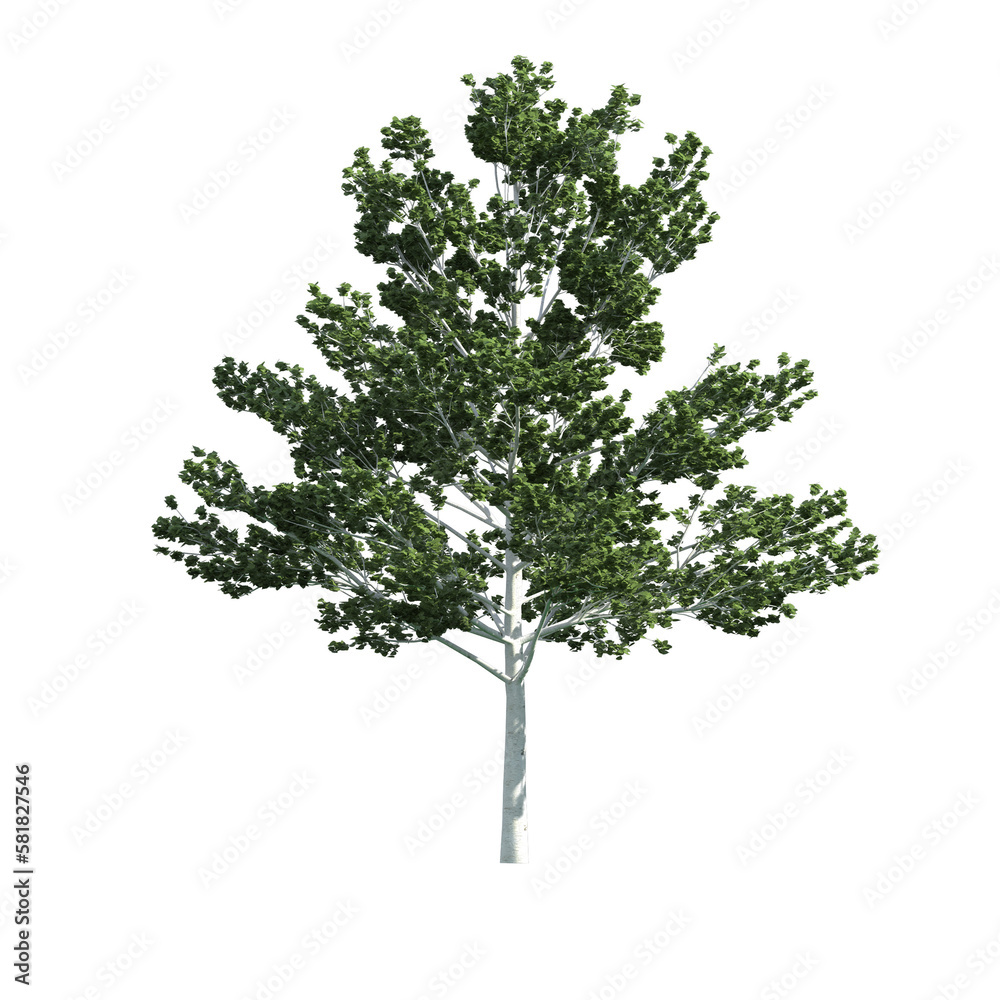 Real Tree Cliparts, tree overlays png, Realistic Look Green Tree ...