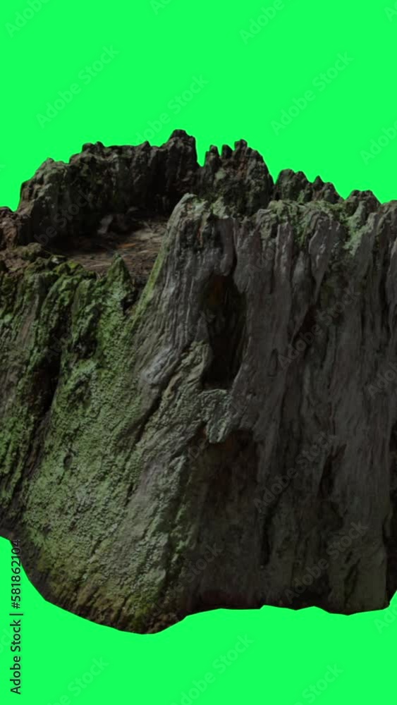 vertical video - animation of Old abandoned tree stump in the woods on ...