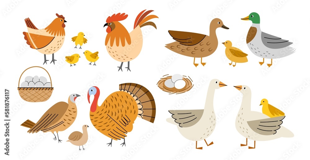 Cartoon farm birds. Different domestic yard birds, cute geese, ducks ...