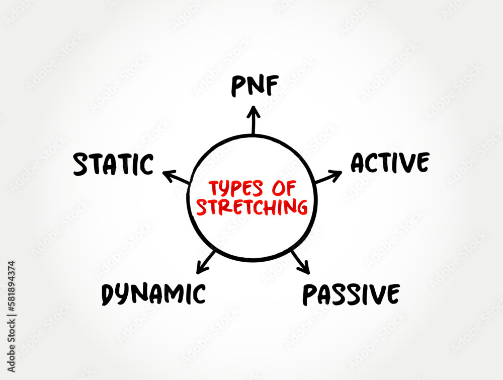 Types of Stretching (form of physical exercise in which a specific ...