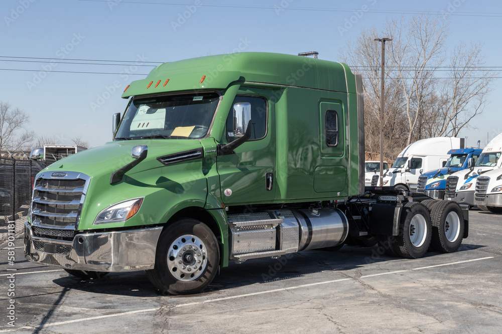 Freightliner Semi Tractor Trailer Big Rig Trucks Lined up for sale ...