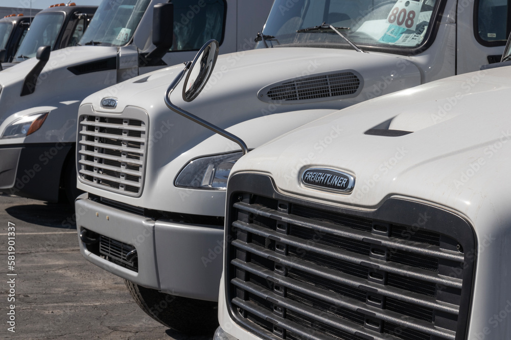Freightliner Semi Tractor Trailer Big Rig Trucks Lined up for sale ...