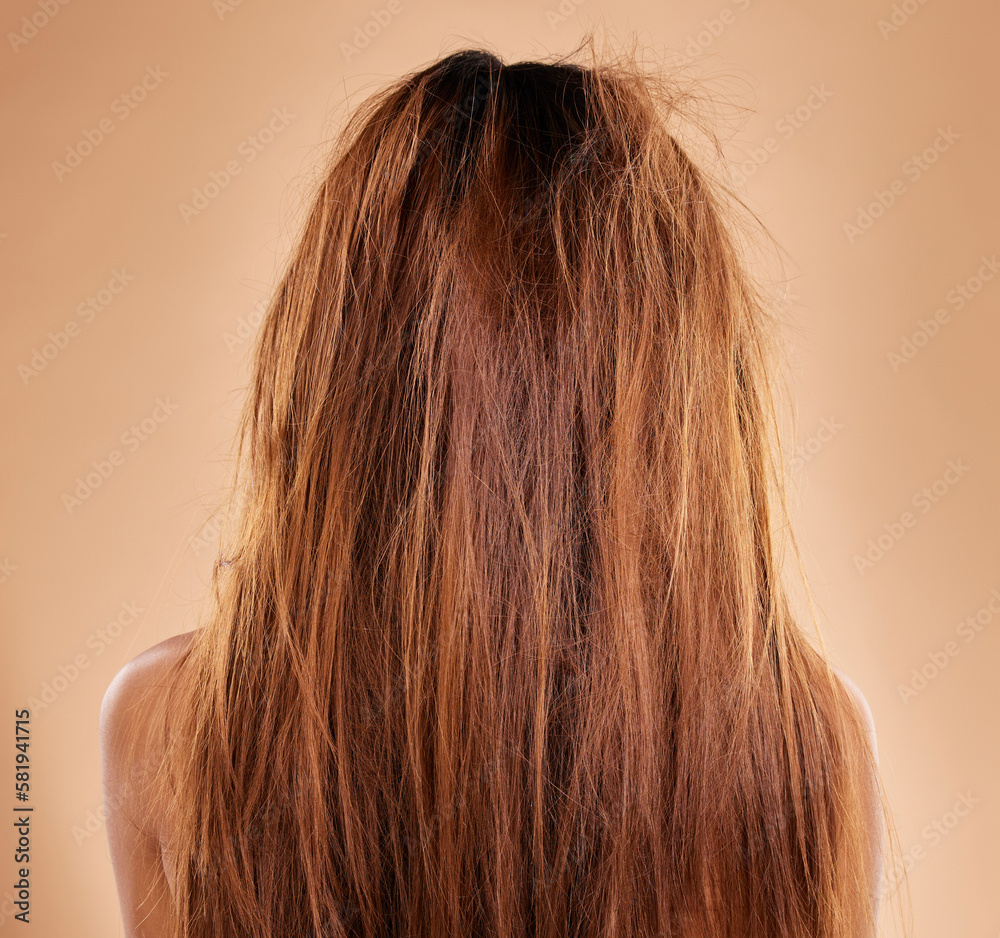 Messy, damaged hair and back of a woman in a studio with a brittle ...