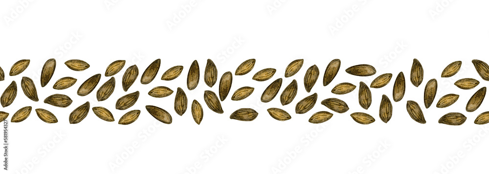 Seamless border of seeds, nuts and almonds. Hand drawn, spice food ...