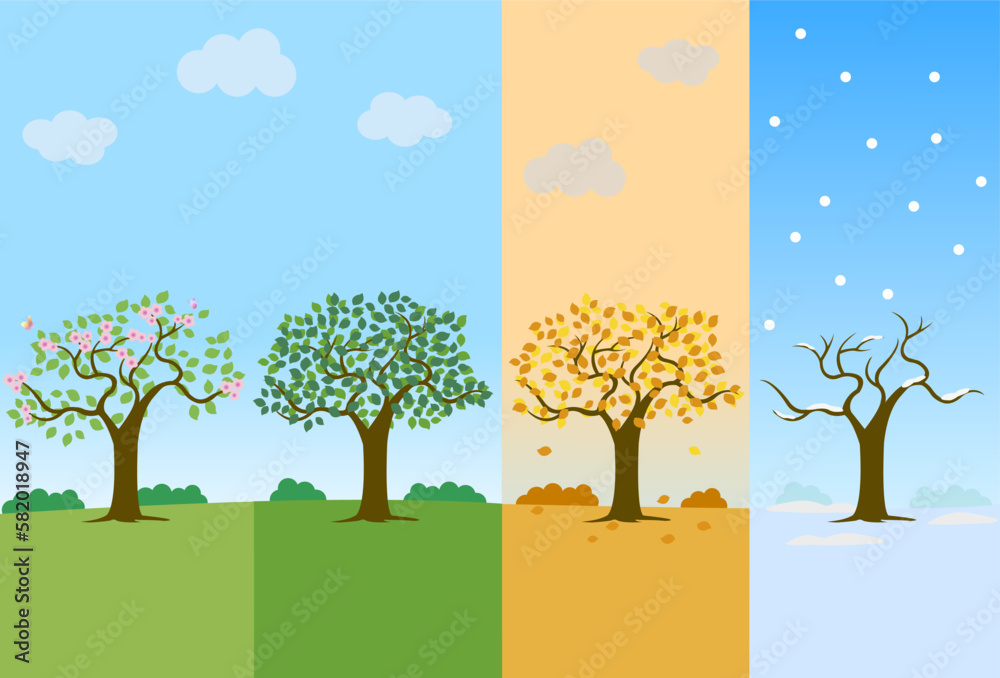 Tree in four seasons of year spring, summer, fall, autumn and winter ...