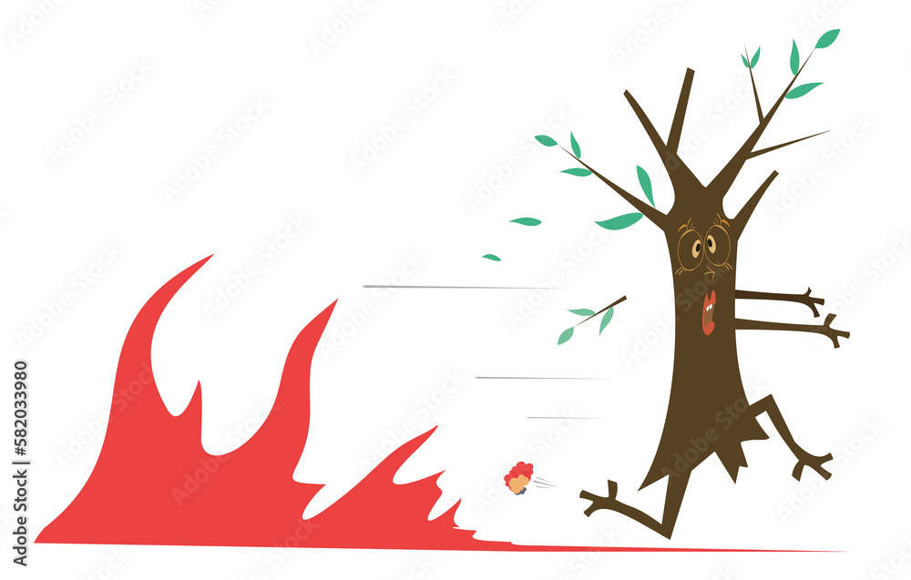 Forest Fire, fire in forest landscape damage, nature ecology disaster ...