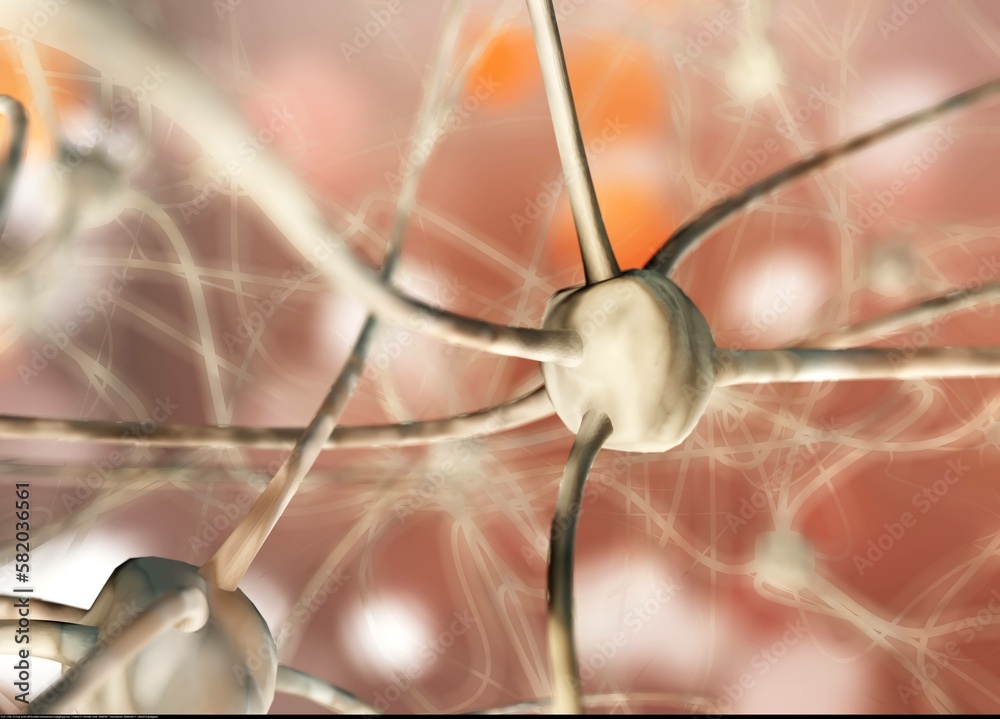 Neuron Neuron Transmits A Signal Nerve Node Neural Network 3d