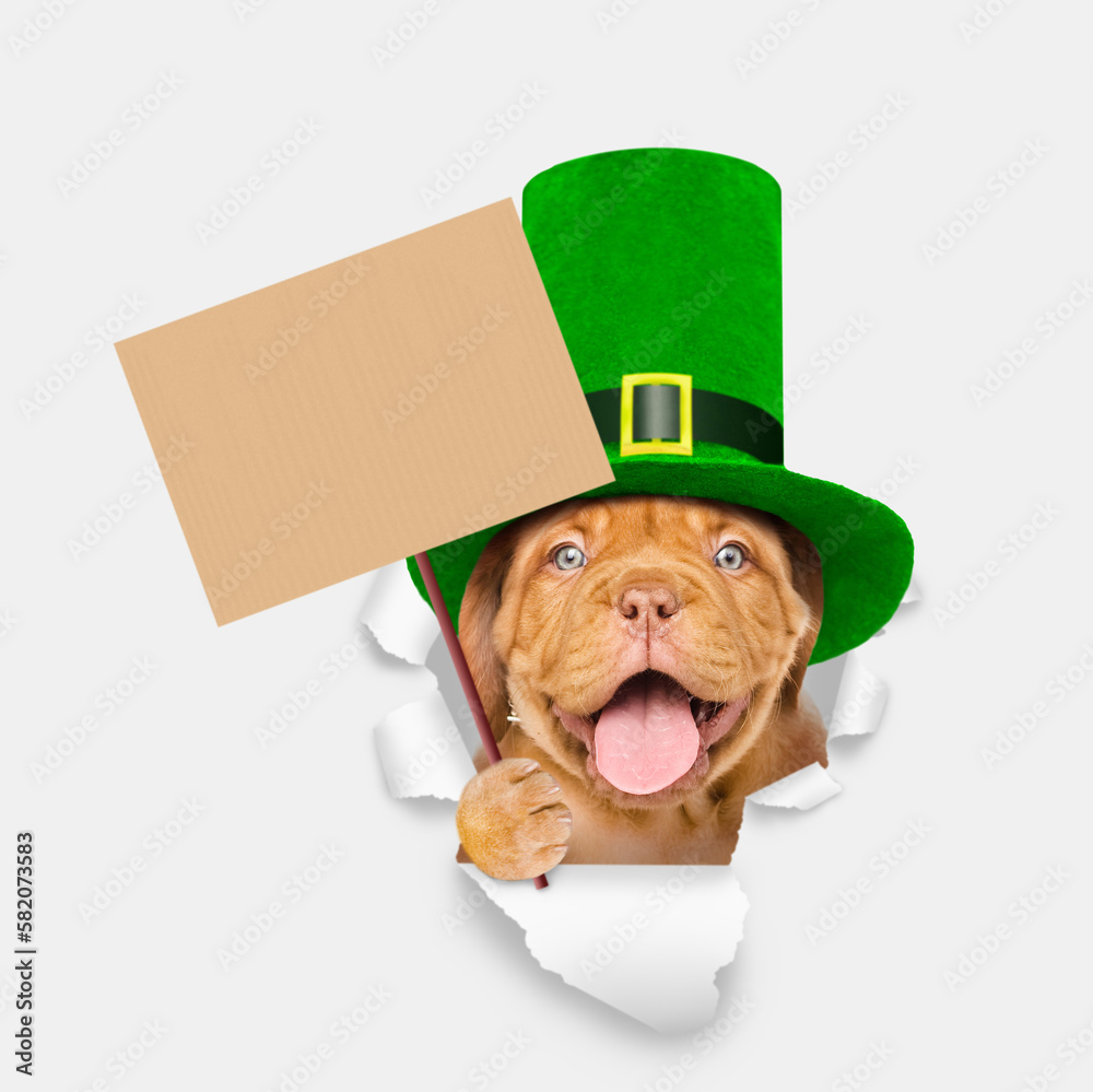 Saint Patrick's Day concept. Happy mastiff puppy wearing green cylinder ...