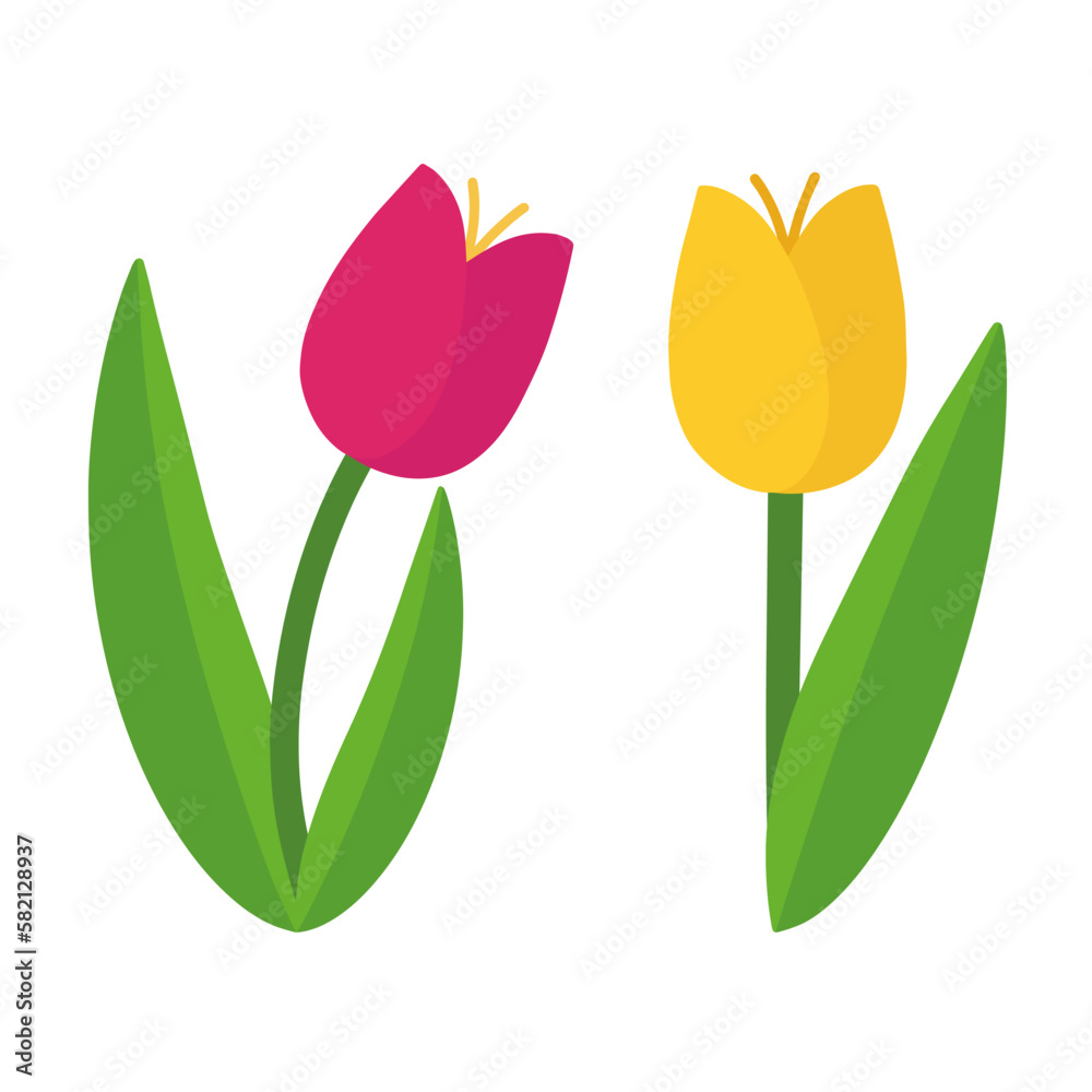 Set of colored vector tulips. Illustration of a cute cartoon pink and ...