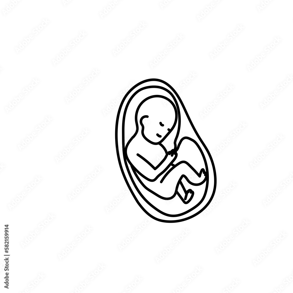 Human fetus development line art. Stock Illustration | Adobe Stock