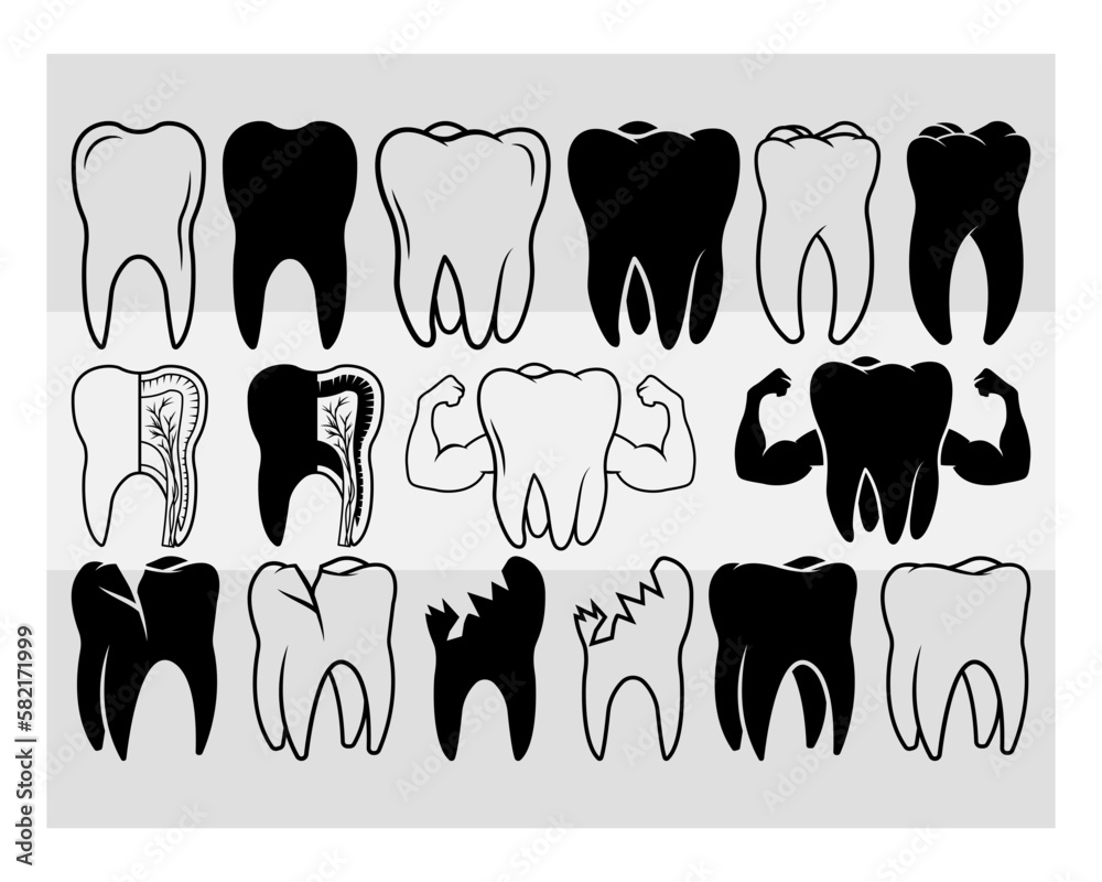Tooth SVG, Tooth, Human Teeth, Dental Svg, Wisdom Teeth Svg, Tooth ...