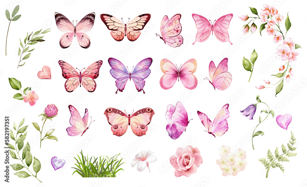 Butterfly collection. Watercolor illustration. Colorful Butterflies ...