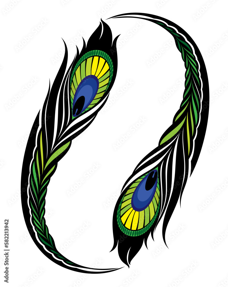 Clipart Peacock Feather