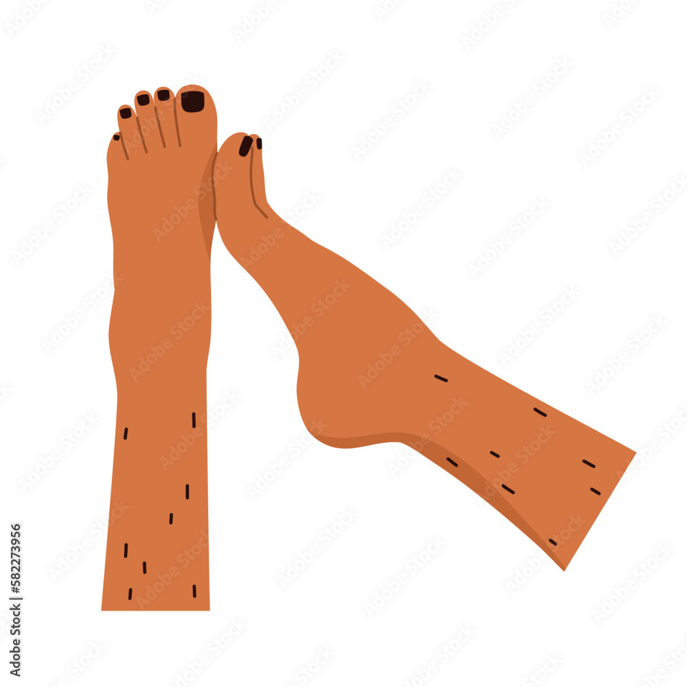 Vecteur Stock Unshaved hairy female legs. Body positive, normalize ...