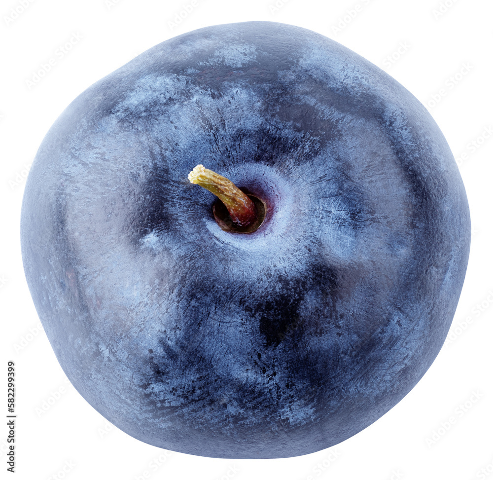 Single blueberry berry with stem isolated on transparent background ...