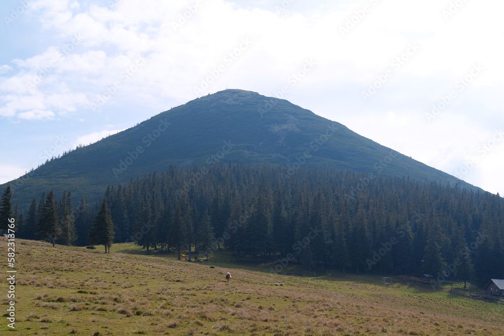 Gorgany - mountain range in Western Ukraine. View to Hamster mount ...