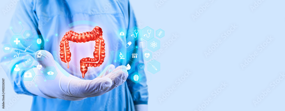Surgeon hand hold a digital large intestine on light blue background ...