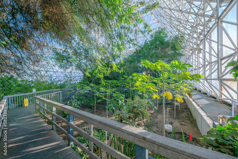 ORACLE, ARIZONA - CIRCA NOVEMBER, 2021: Plant species inside the ...