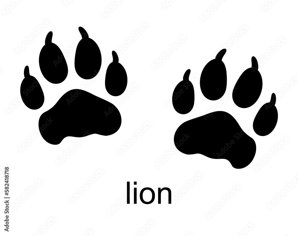 Lion track, lion footprint. Ink, silhouette Vector illustration ...