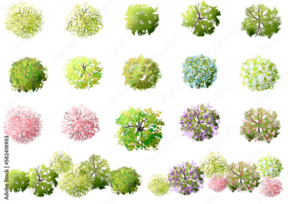 Vector watercolor of blooming tree top view isolated on white ...