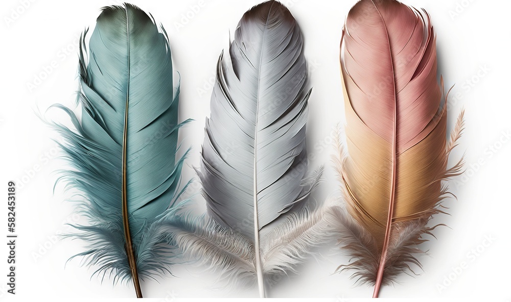 three feathers of different colors on a white background with a shadow ...