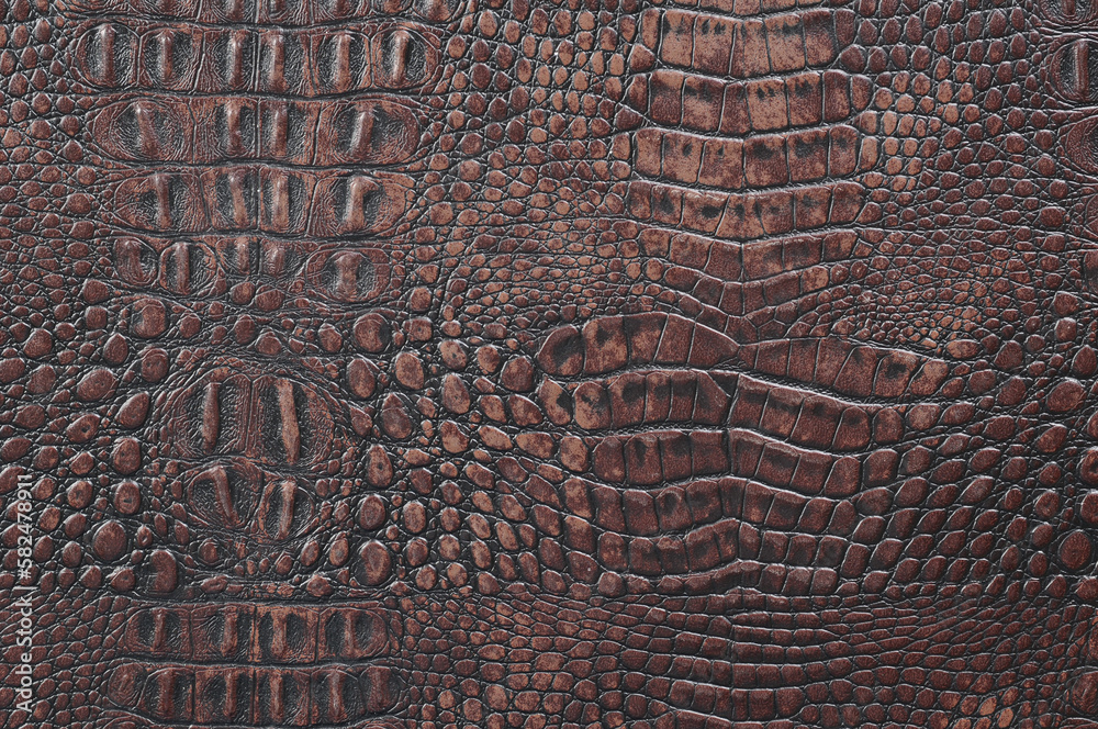 Crocodile leather texture Stock Photo | Adobe Stock