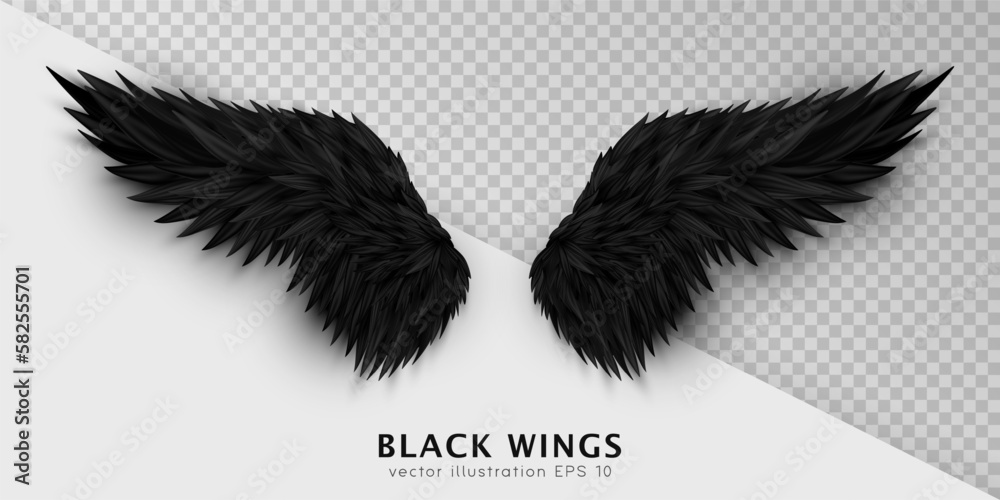 Black devil wings isolated on transparent background. Dark angel outfit ...