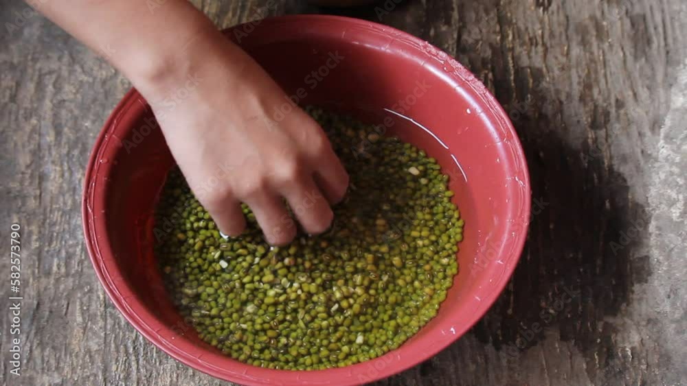Mung bean seed granules are being soaked in clean water and sorted to ...