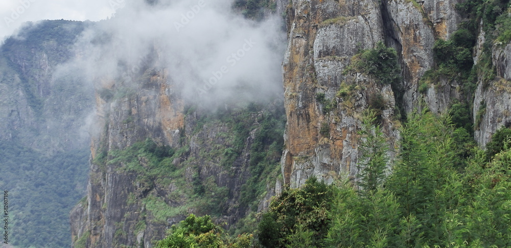 scenic landscape, beautiful view of palani hills (part of western ghats ...