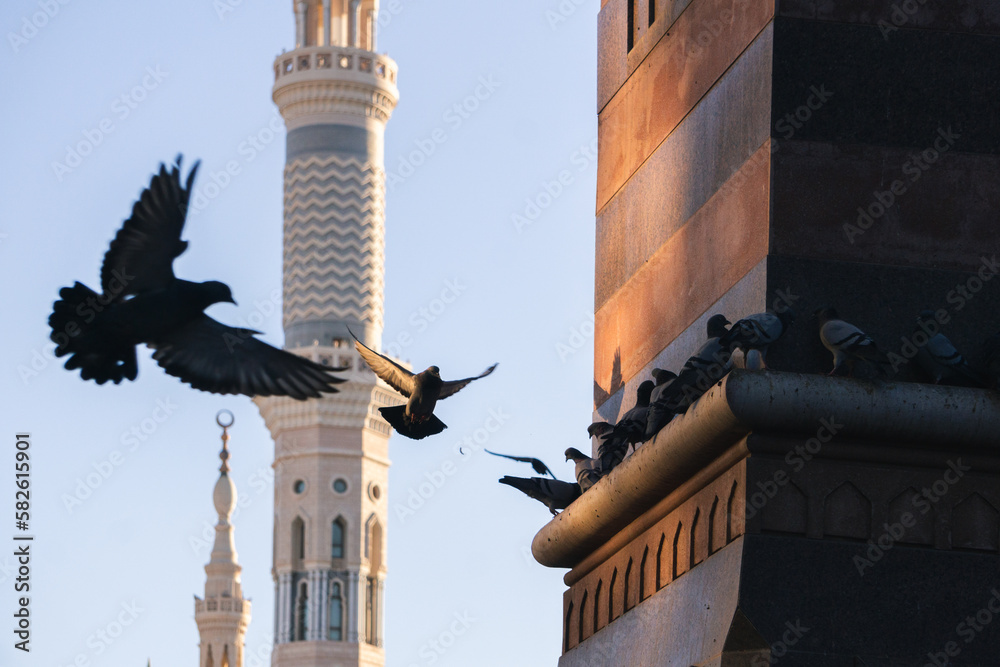 MECCA, SAUDI ARABIA: MAR 8, 2023. A pigeon is flying in Mecca near Al ...