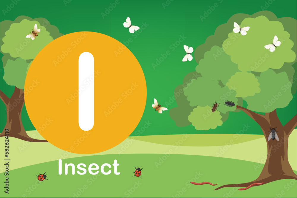 Flash card: the education tools - Alphabet A-Z card I-Insect, many ...