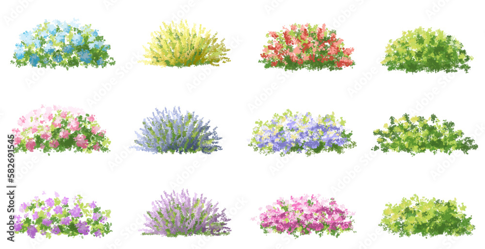 Vector watercolor blooming flower tree side view isolated on white ...