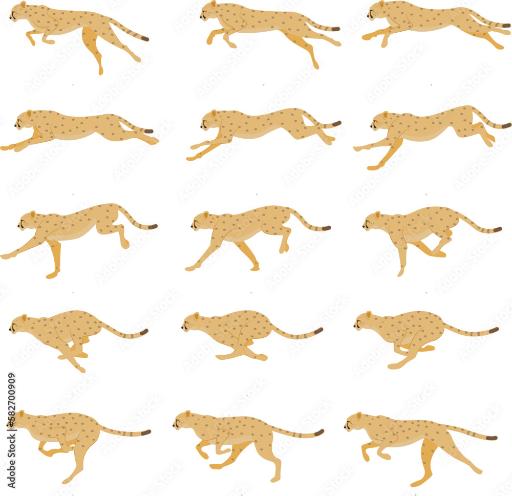 Vetor de Cheetah - Runing- Animation Spritesheet, realistic animation ...