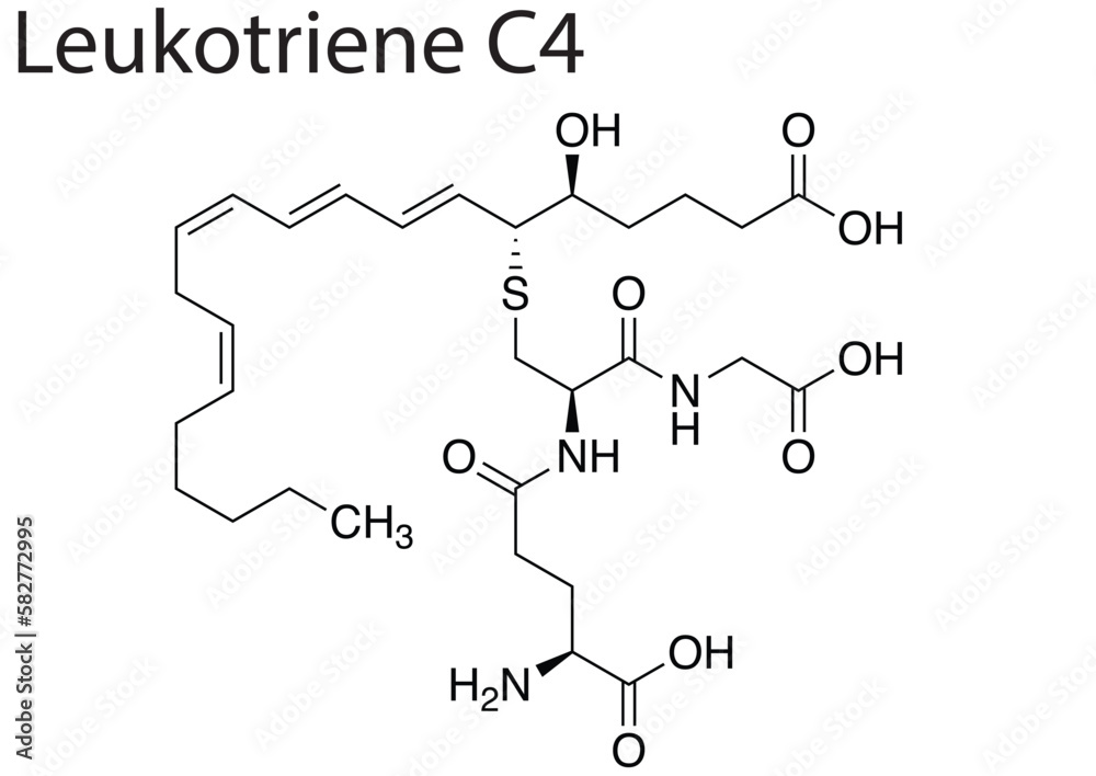 Chemical formula structure of Leukotriene C4 on white background Stock ...
