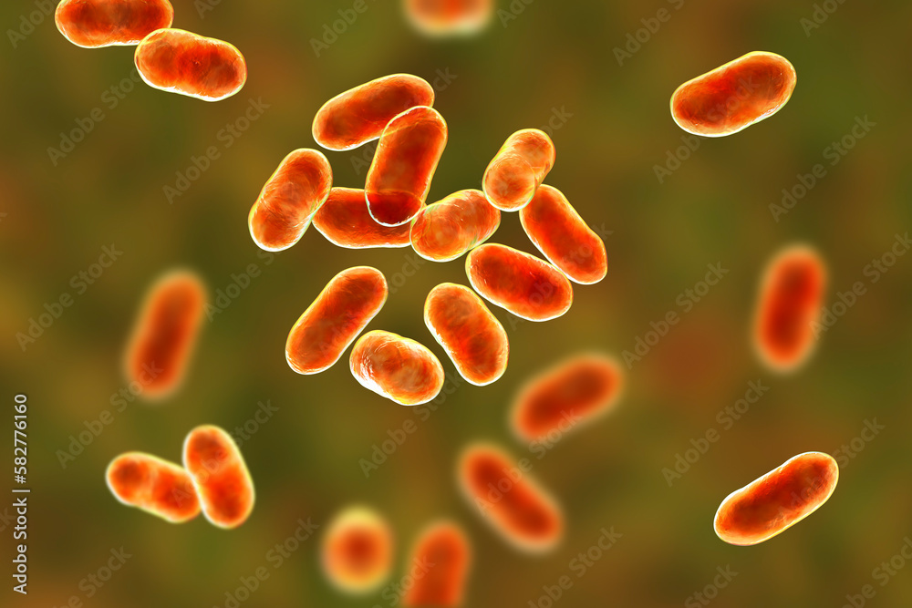 Prevotella bacteria, 3D illustration. Gram-negative anaerobic bacteria ...