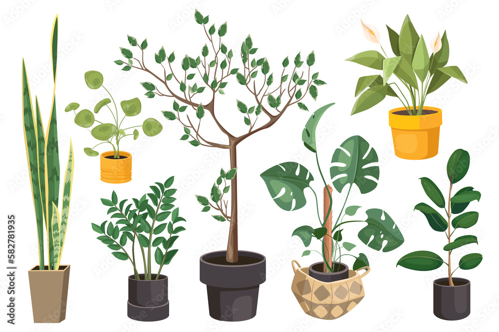 Houseplants Set Graphic Elements In Flat Design Bundle Of Potted houseplants-set-graphic-elements-in-flat-design-bundle-of-potted