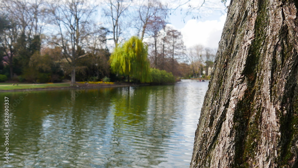 Promande autour d'un lac limpide et transparent, dans un grand parc ...