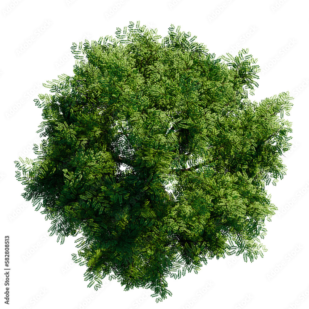 green tree top view on white png landscape plan urban Stock ...
