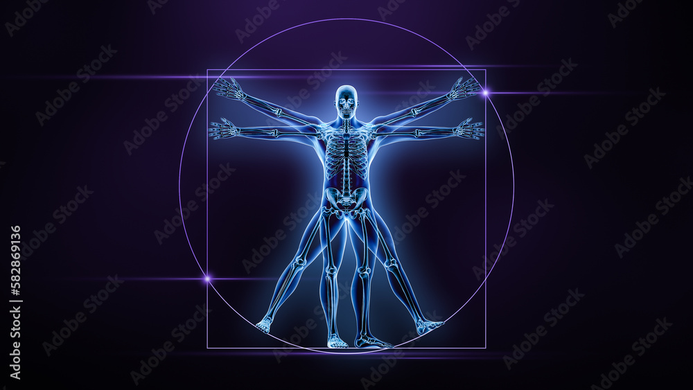 Anterior or front view of the human male body and bones xray 3D ...