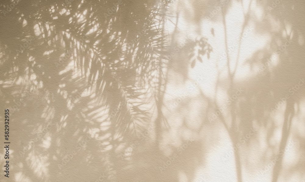 Tree shadow and leaf branch background. Nature leaves tropical jungle ...