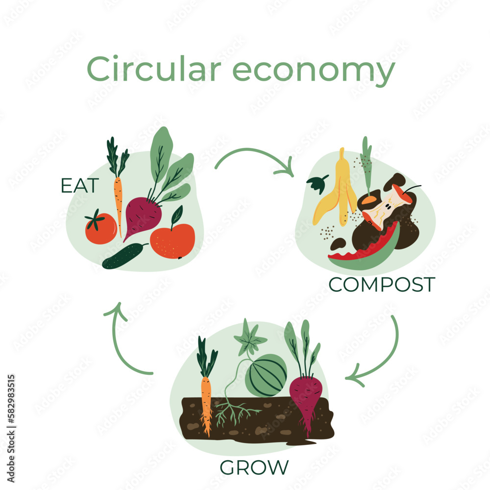 Circular economy. Compost and growing vegetables and fruits. Recycling ...