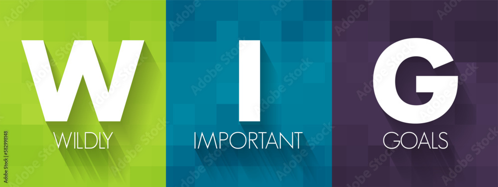 WIG Wildly Important Goals - highly important goals that must be ...