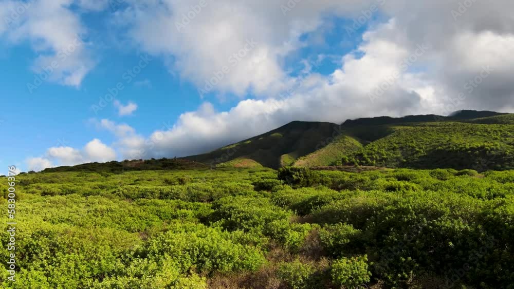 Soar high above and take in the breathtaking aerial view of a path ...