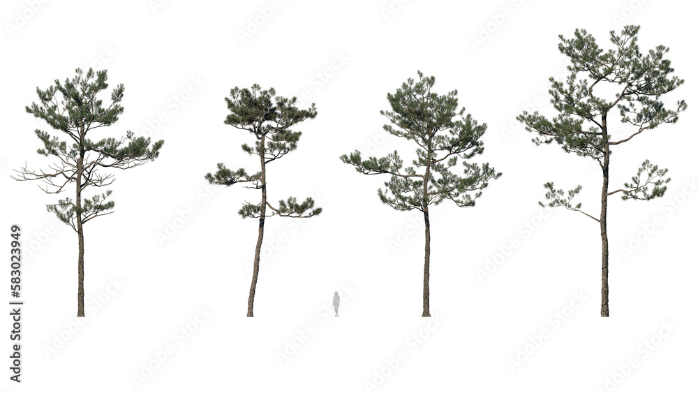 Beautiful trees set transparency Stock Illustration | Adobe Stock