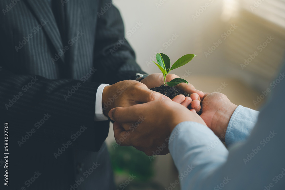 Business hands holding green plants together are the symbol of green ...
