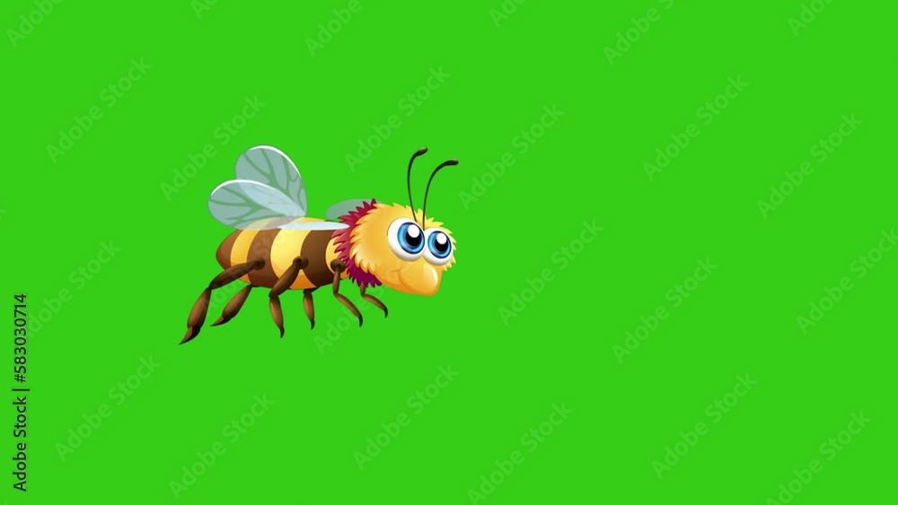 Animation of flying bee in green screen background. Closeup video of ...